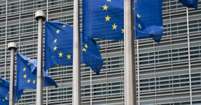 ECHA Survey on Nanomaterials Used as or Integrated into Flame ...