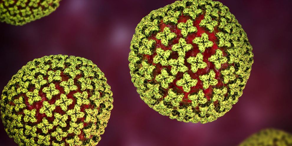 EPA Activates Emergency Viral Pathogen Guidance for Hantavirus ...