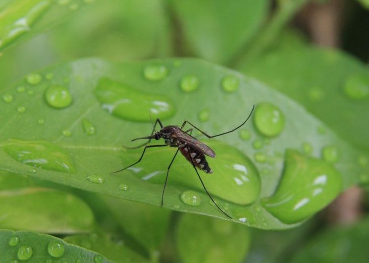 EPA Issues Fact Check Stating That It Has Not Authorized the Release of ...